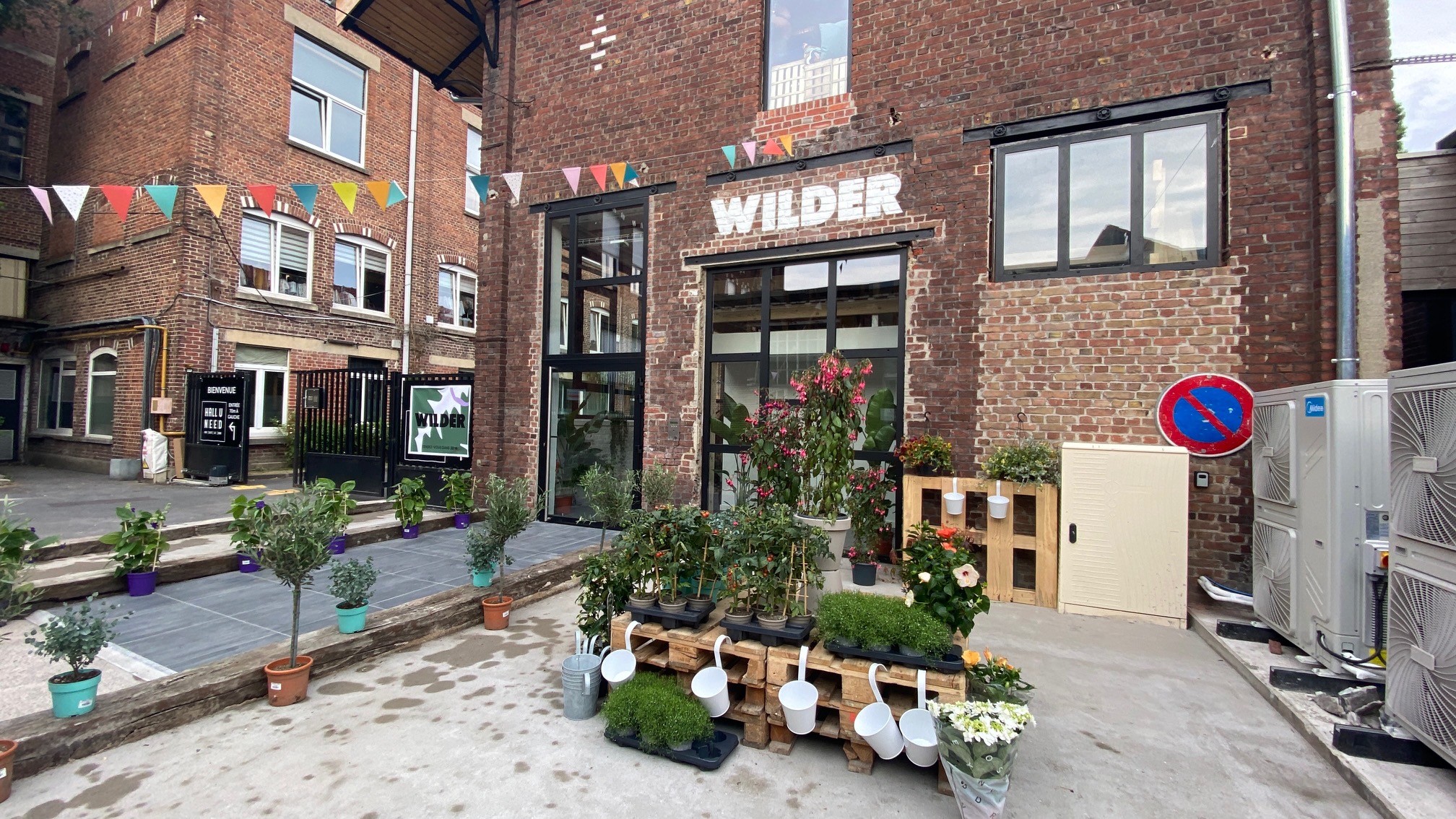 Wilder, le nouveau temple des plantes de Saint-André qui mêle resto et ...